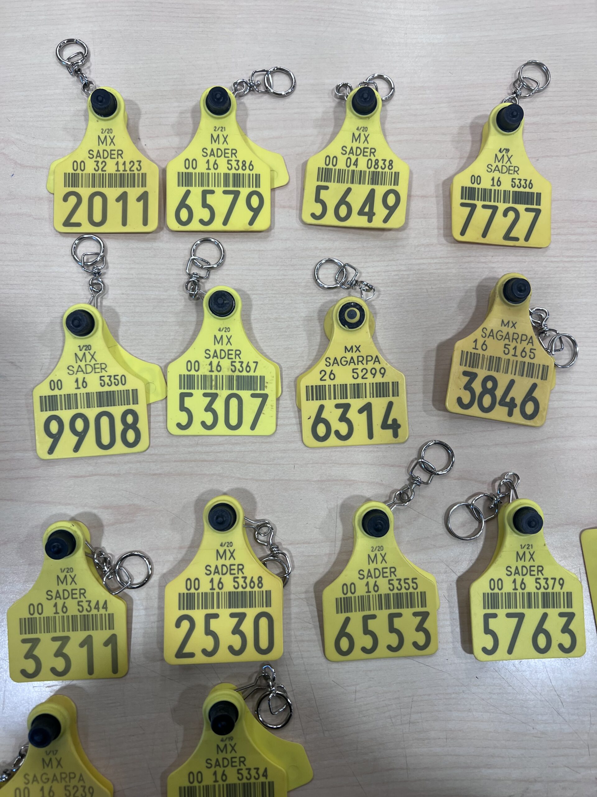 EAR TAG KEY CHIAN – El Reparo Boots