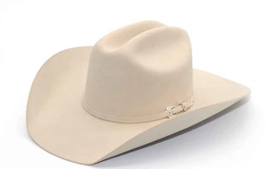 TENNESSEE HATS TEXAS 500X SILVER BELLY – El Reparo Boots